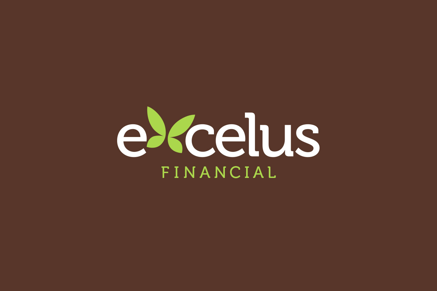 Excelus Financial - Brandioso
